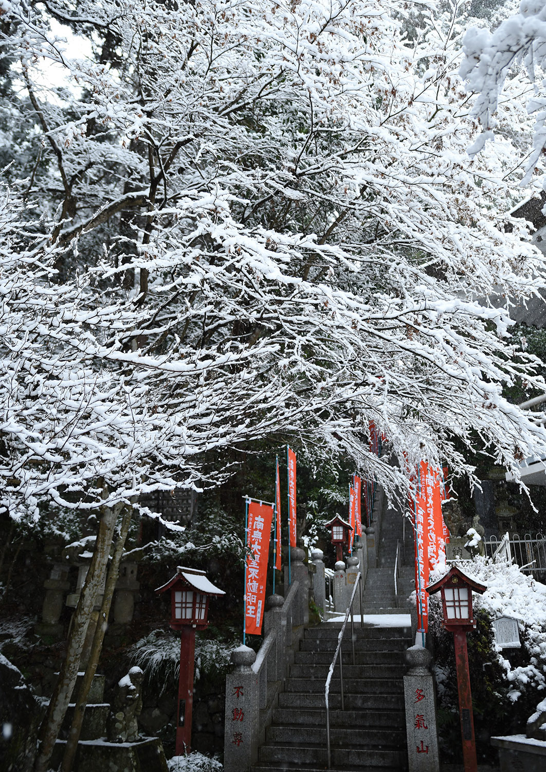 【神社仏閣】雪の多氣山（その1）: （続）倫敦巴里