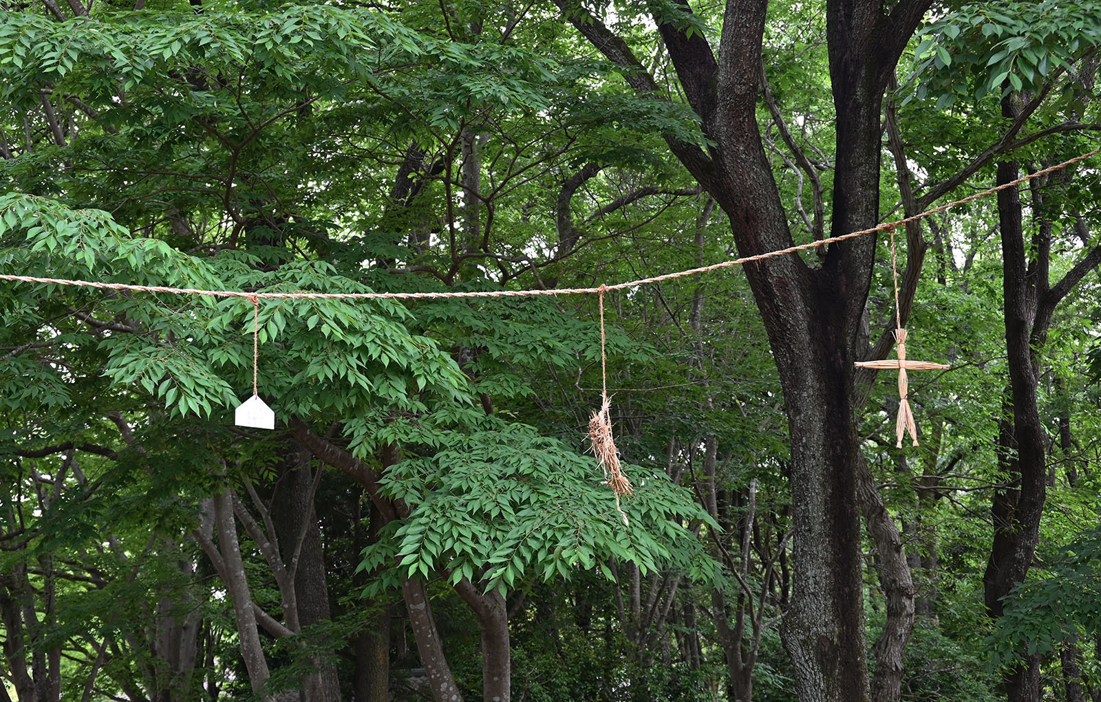 房総の農家、昔の農家: （続）倫敦巴里