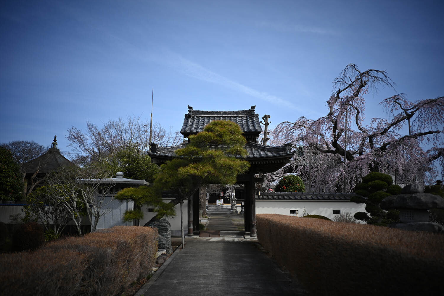 コシナ・フォクトレンダー・カラースコパー28mm F2.8: （続）倫敦巴里