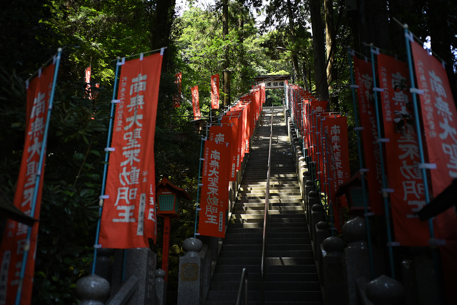 コシナ・ツァイス・ビオゴン35mm F2.8 で撮る多氣山: （続）倫敦巴里