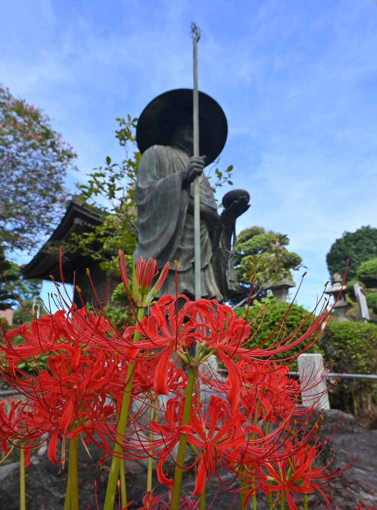 曼珠沙華〜〜: （続）倫敦巴里